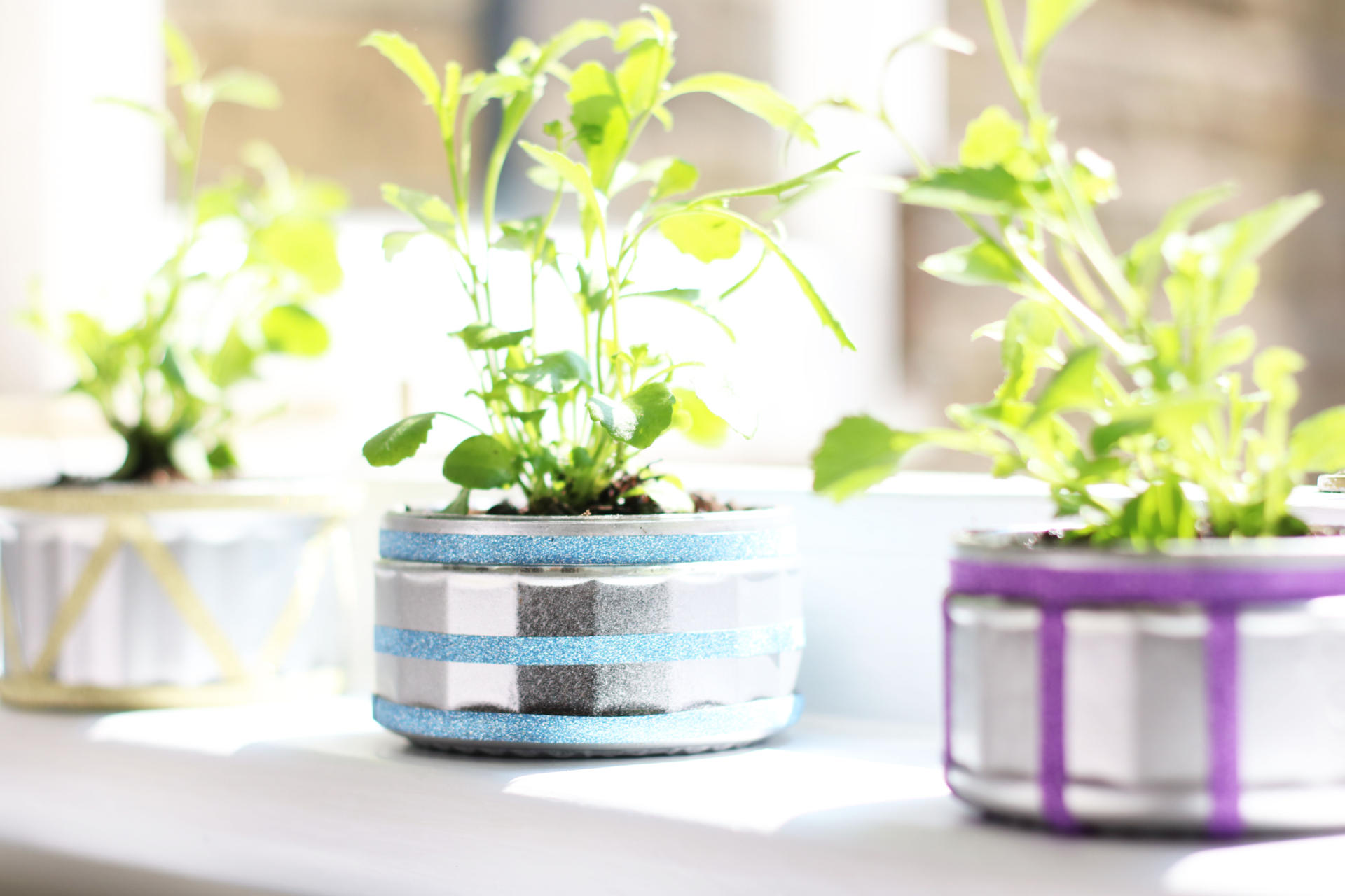 3 Simple Upcycling Projects for British Flower Week - Liviatiana